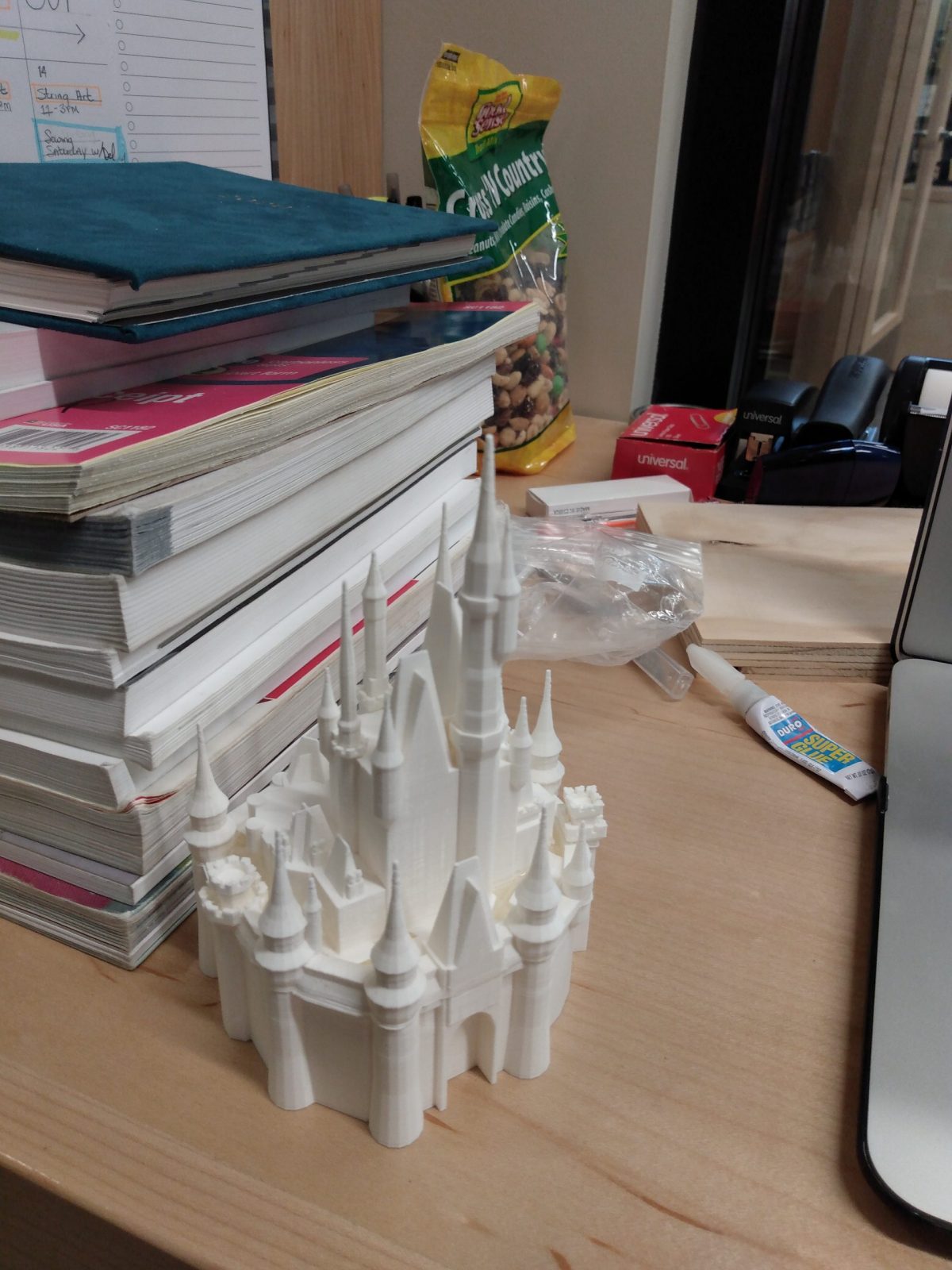 Cinderella’s Castle – Springfield City Library