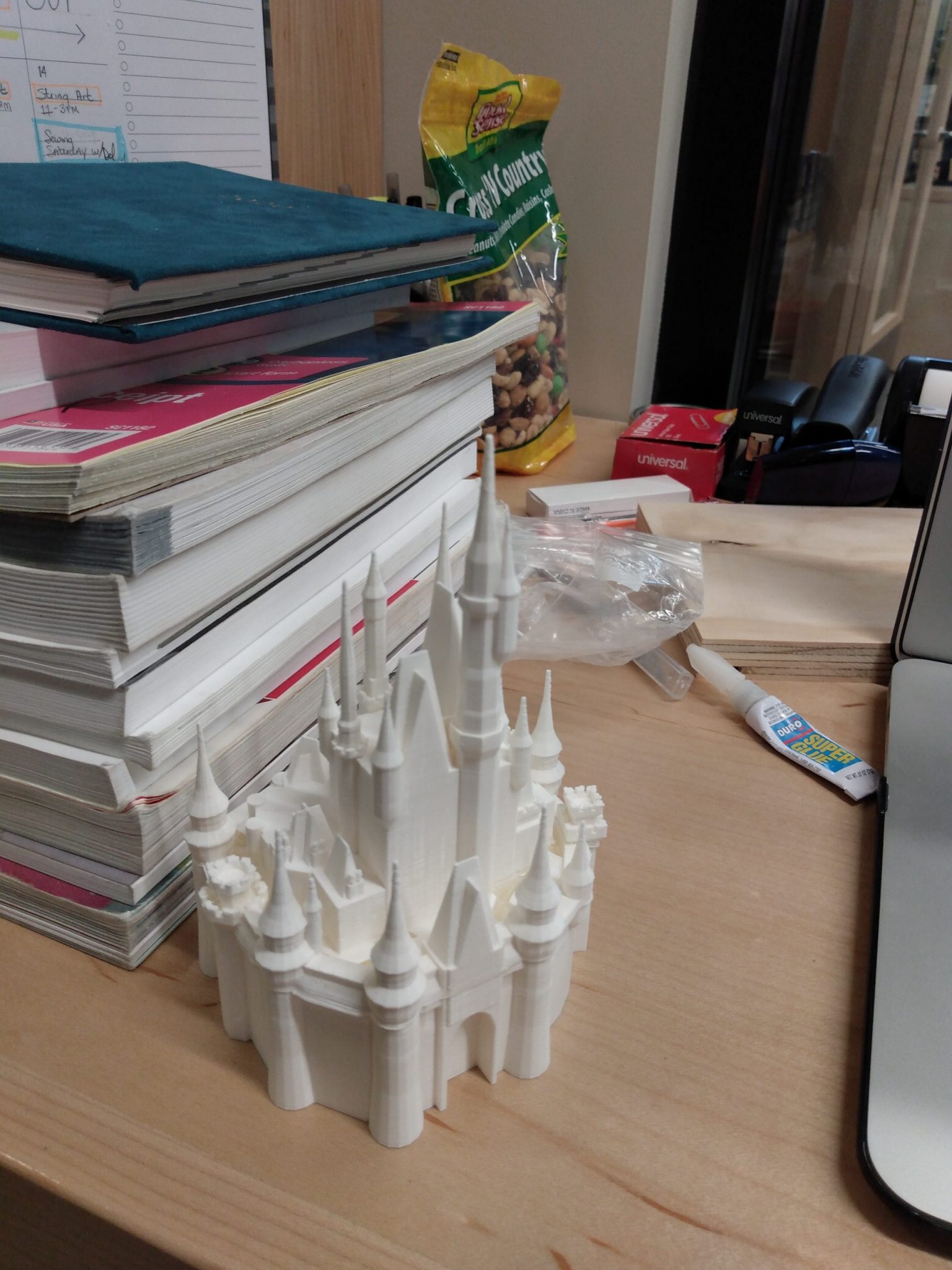 Cinderella’s Castle – Springfield City Library