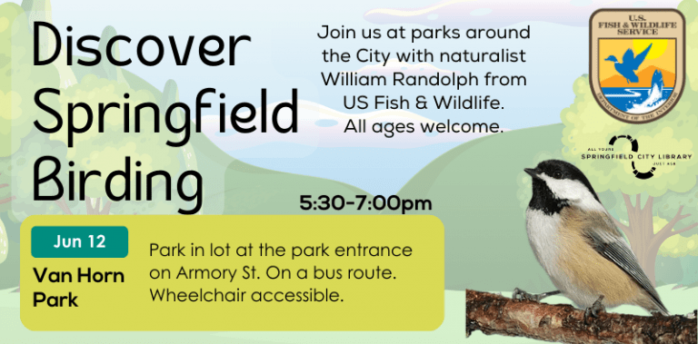 Springfield City Library – All Yours Just Ask